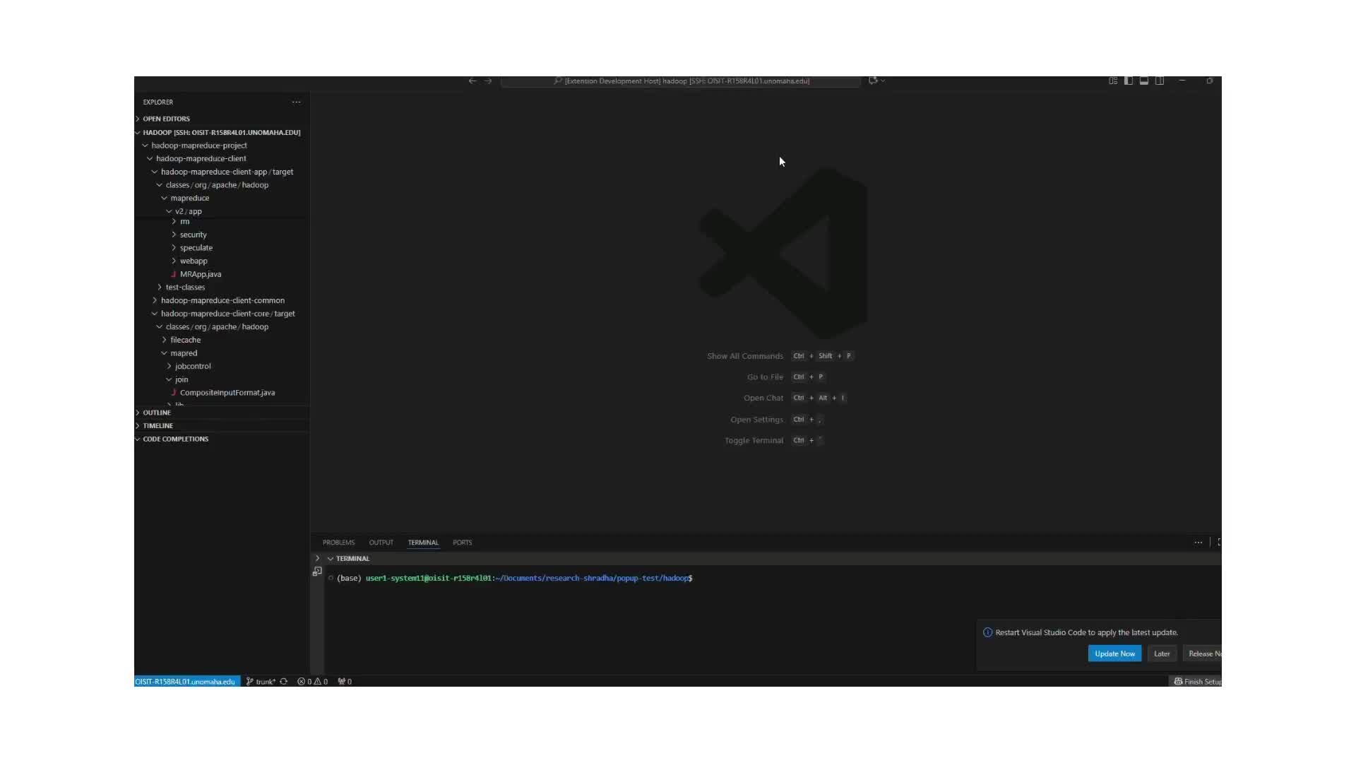 VsCode_Demo | Lumina Media Player